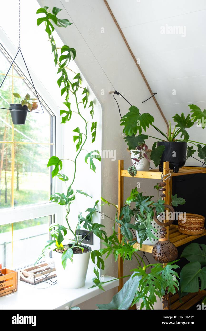 The interior of the house with large windows with a layout and home ...