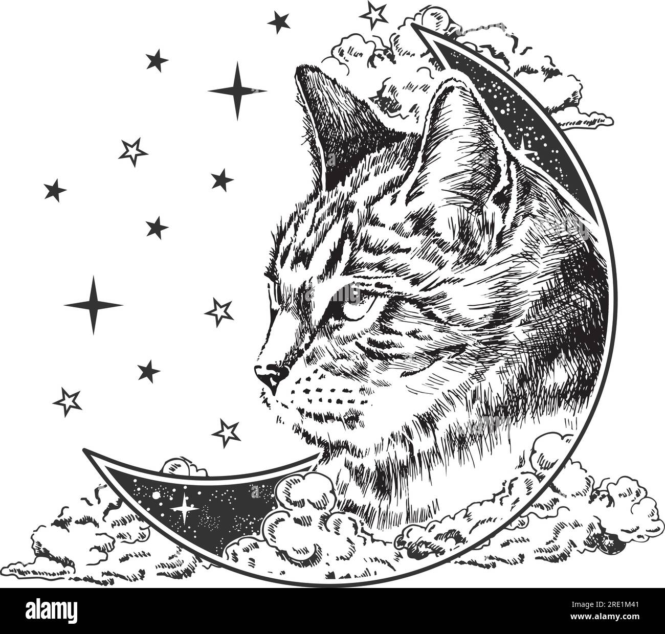 Mystical crescent moon witch Cut Out Stock Images & Pictures - Alamy