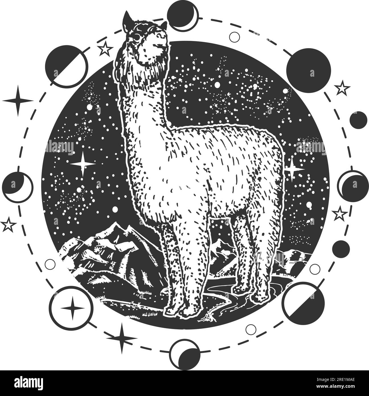 Llama sketch animal boho drawing vector illustration Stock Vector Image ...