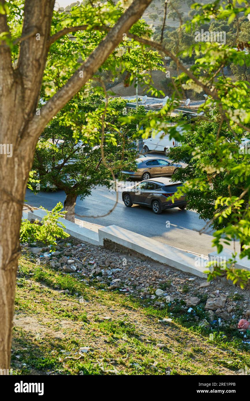 Car with tree in the street in Morocco Stock Photo - Alamy