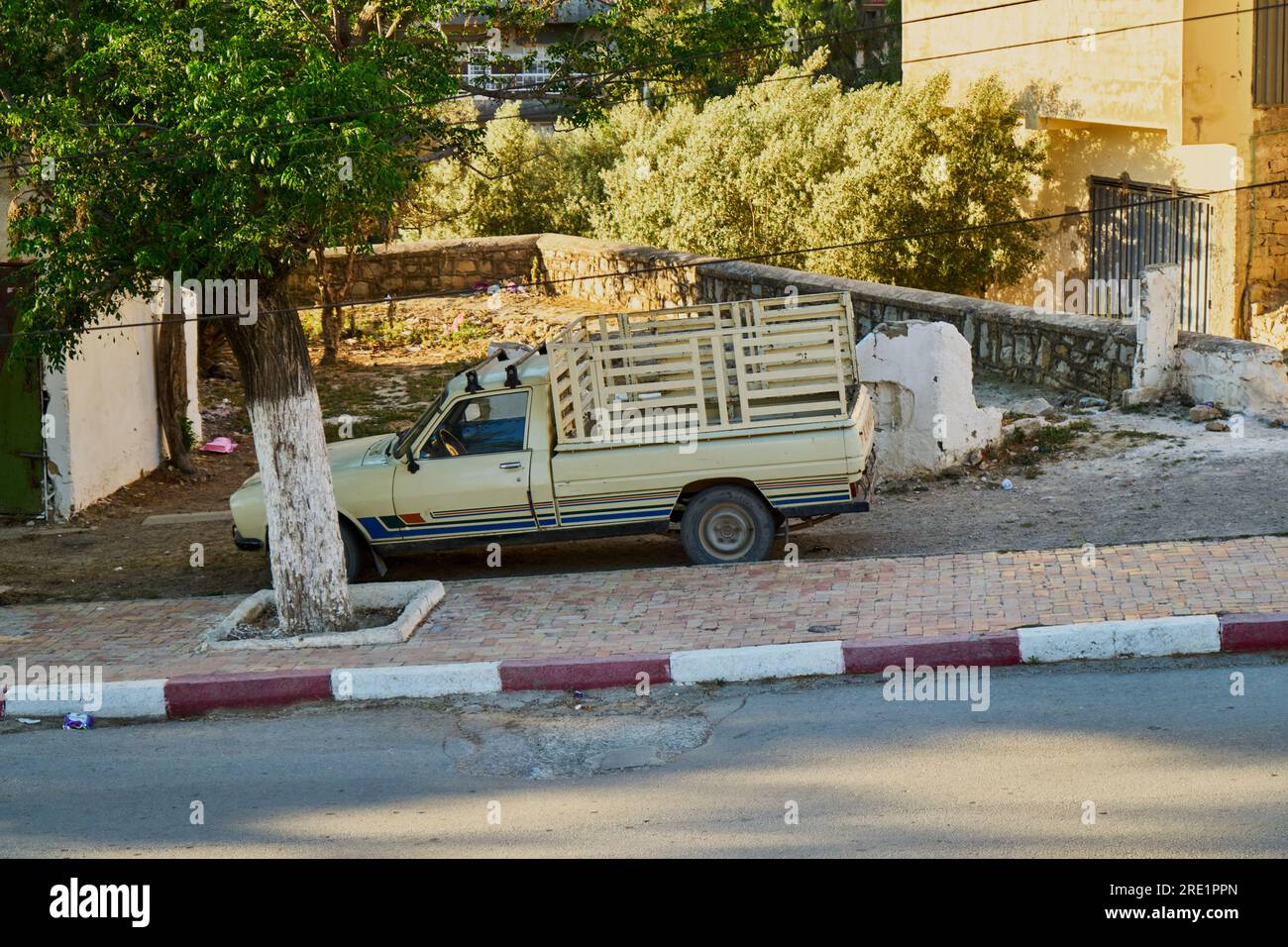 Car with tree in the street in Morocco Stock Photo - Alamy