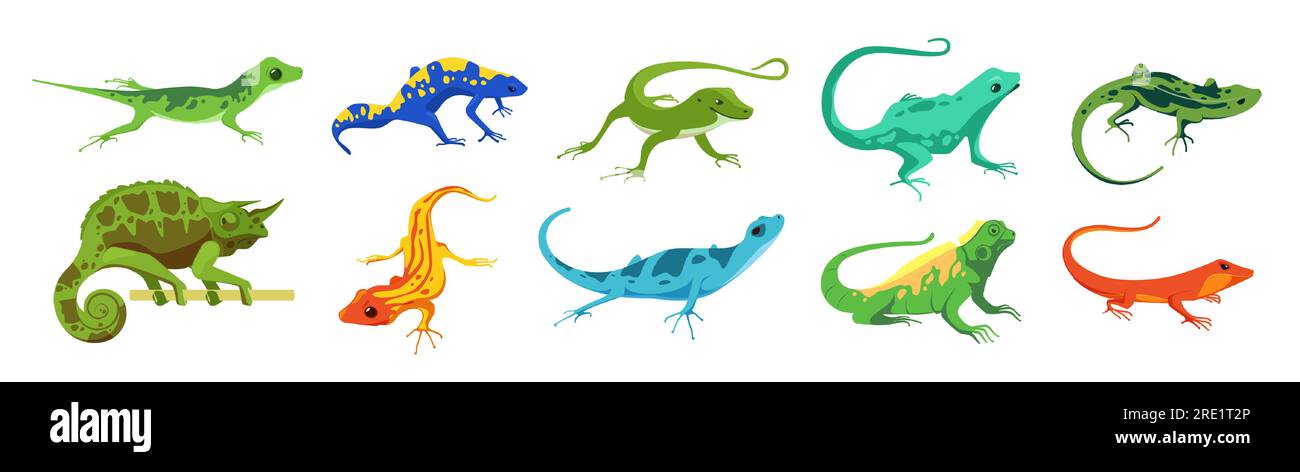 Chameleon lizards. Cute mexican salamander characters, zoo exotic ...