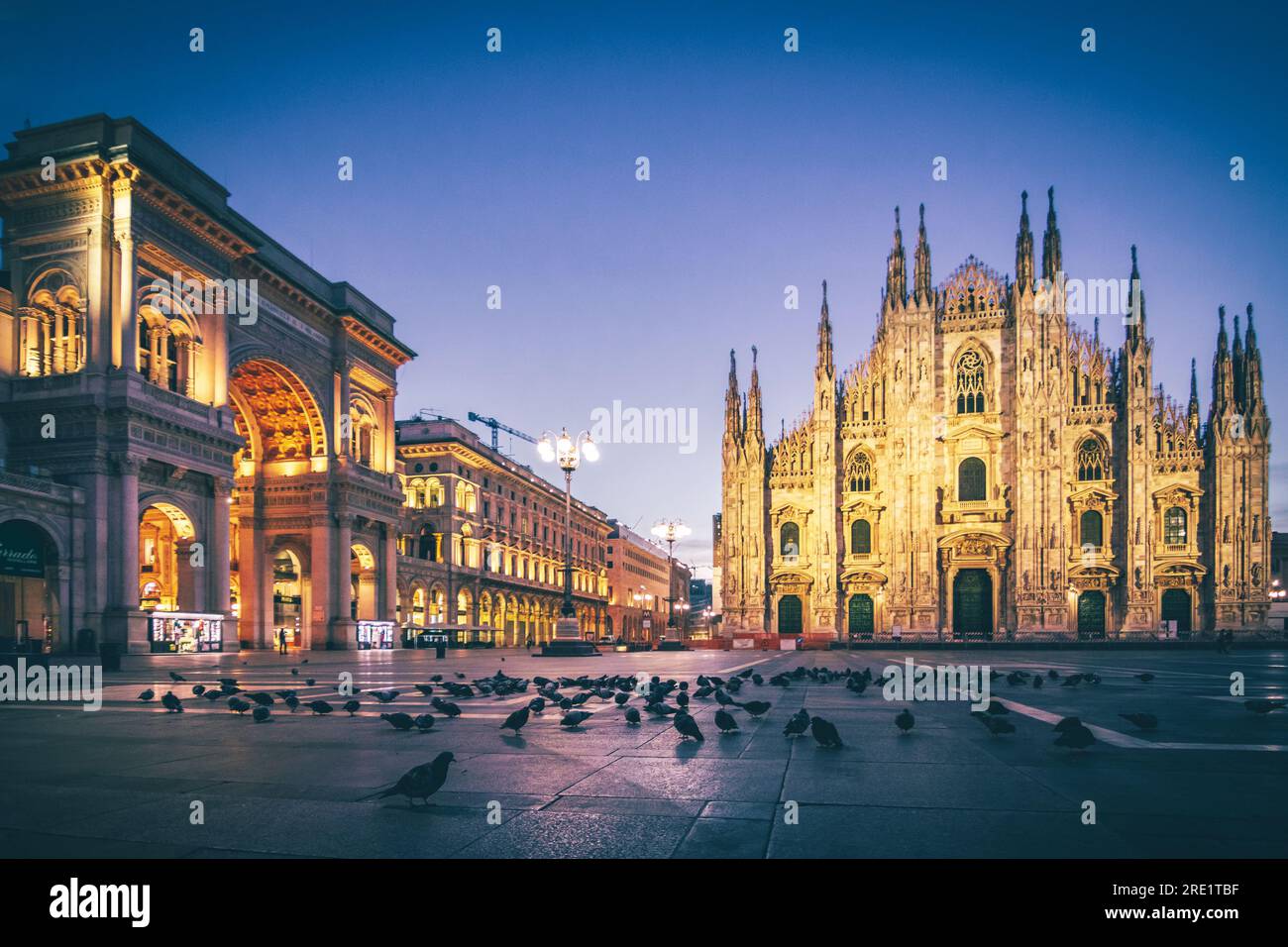 Cathedral in milan with pigeons in the morning Stock Photo - Alamy