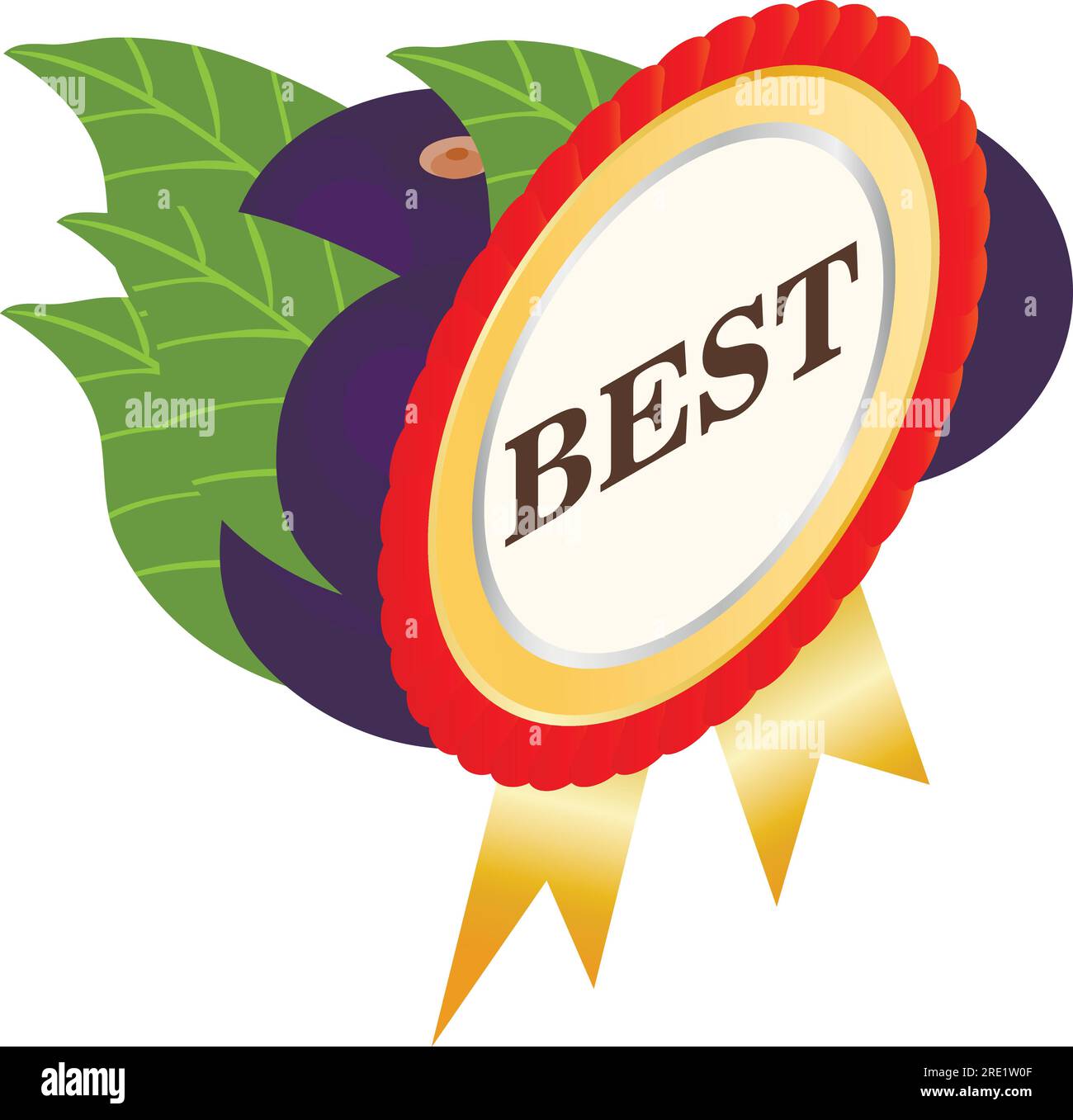 Acai berry icon isometric vector. Fresh ripe acai berry with leaf and ...