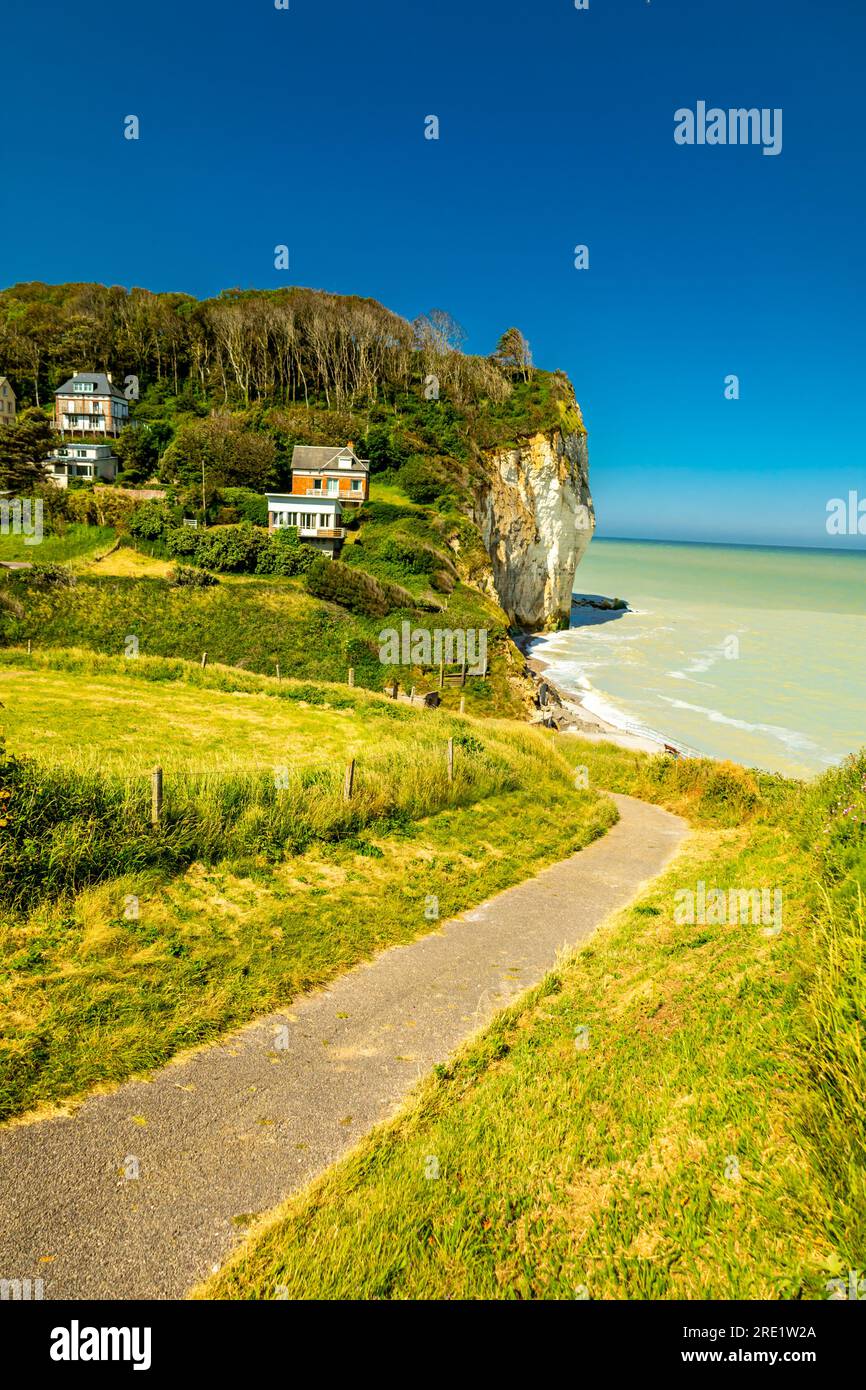 Beautiful discovery tour through the unique Normandy countryside ...