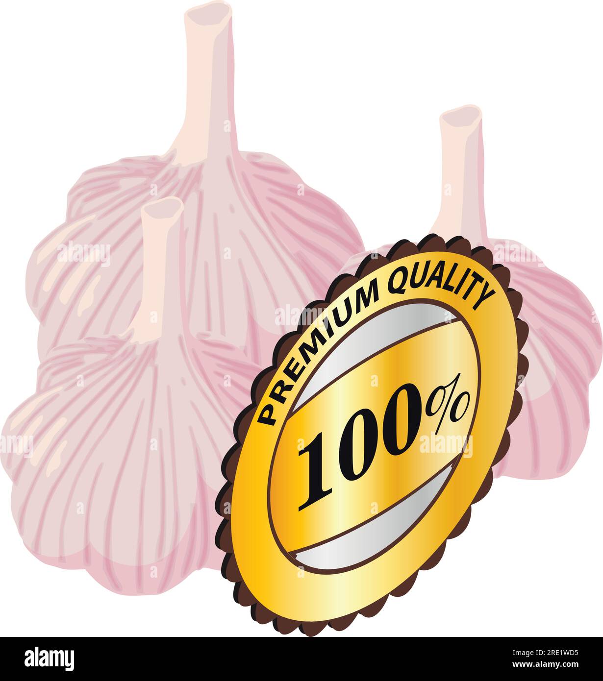 Garlik Stock Vector Images - Alamy