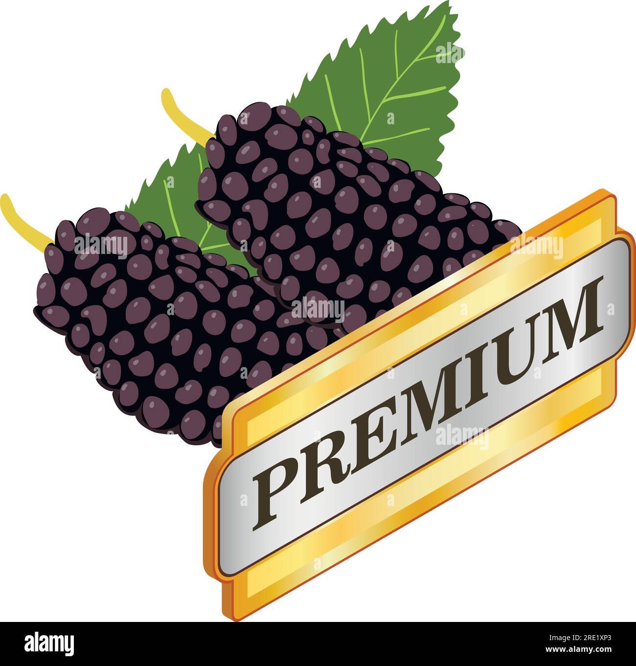 Organic mulberry icon isometric vector. Fresh black mulberry and ...