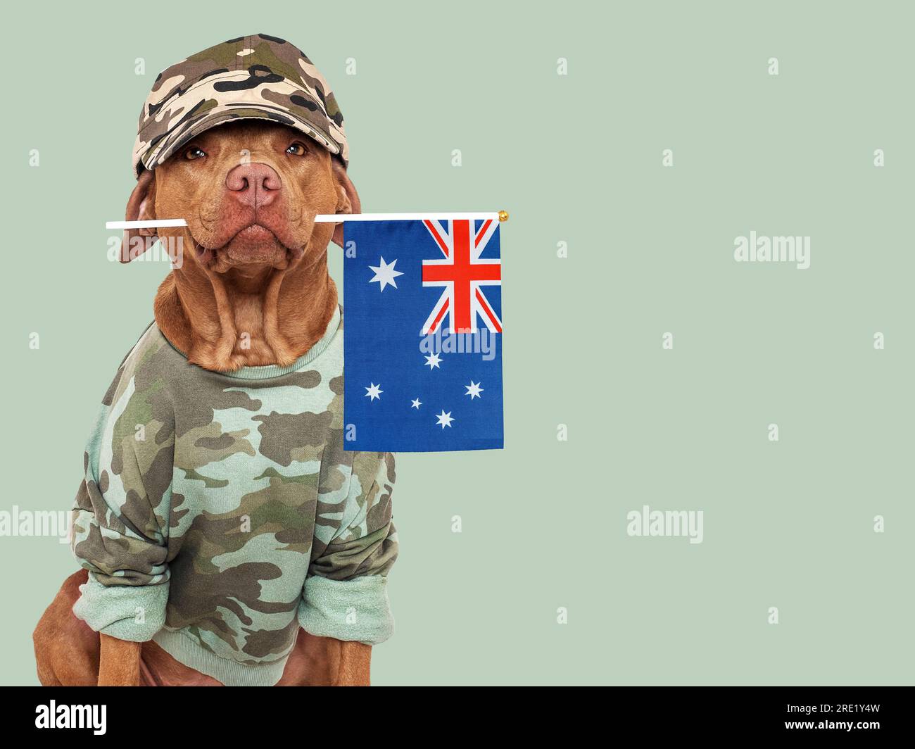 Australian army military police hi-res stock photography and images - Alamy