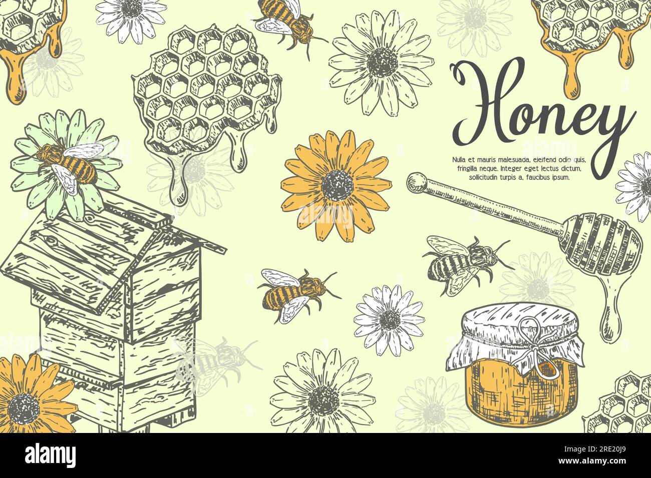 Honey ink hand drawn sketch vector illustration. Sweet natural organic ...