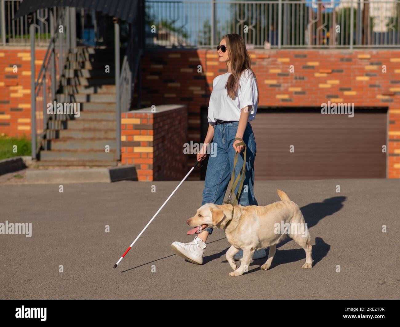 Blind woman guide dog hi-res stock photography and images - Alamy