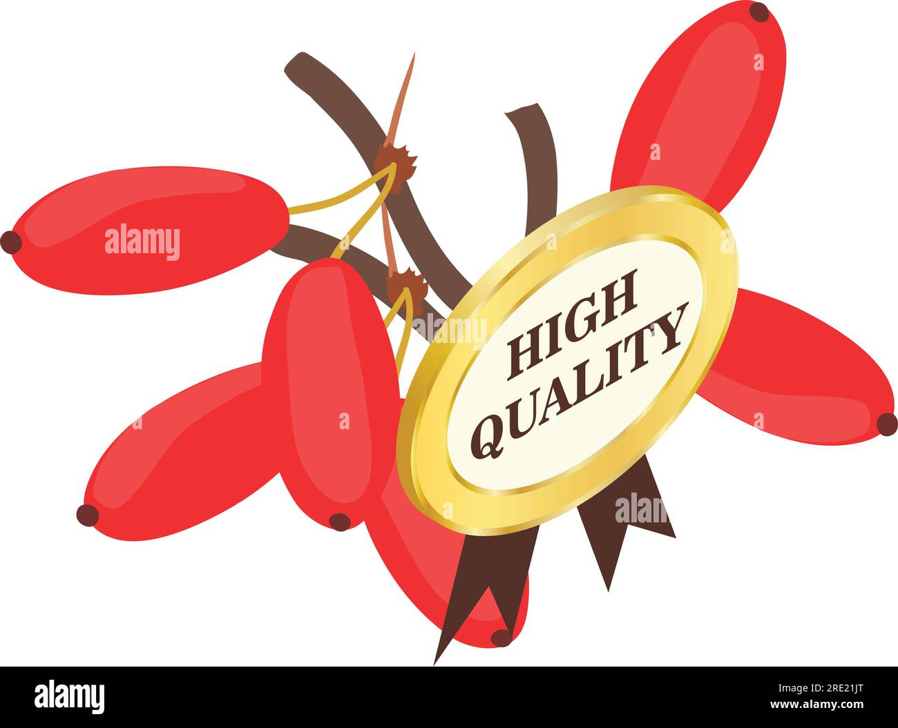 Organic barberry icon isometric vector. Fresh red barberry and high ...
