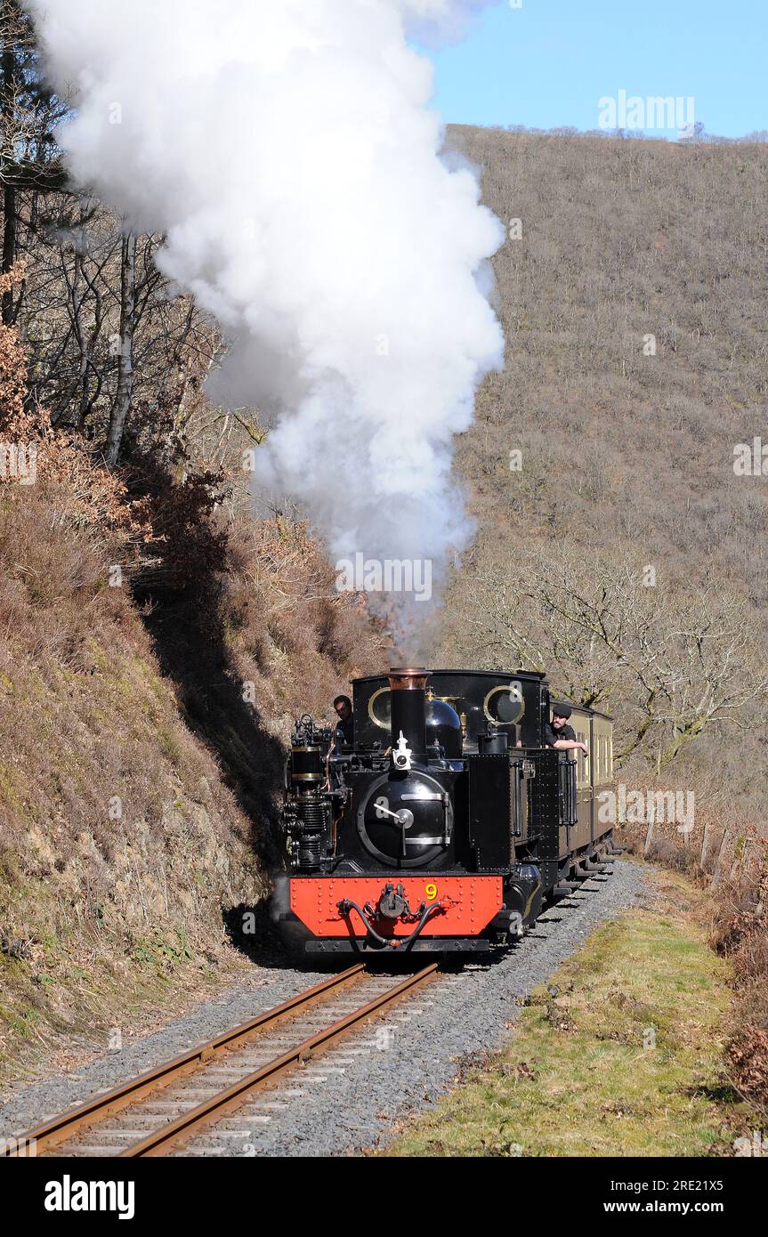Vale rheidol narrow gauge railway hi-res stock photography and images - Alamy