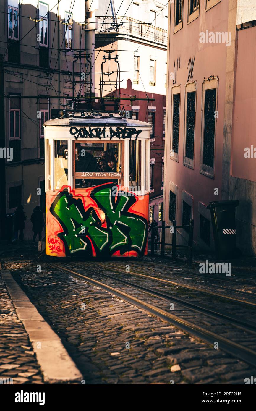 Exploring Historic Altstadt with Iconic Buildings, Elevators, and Trams ...