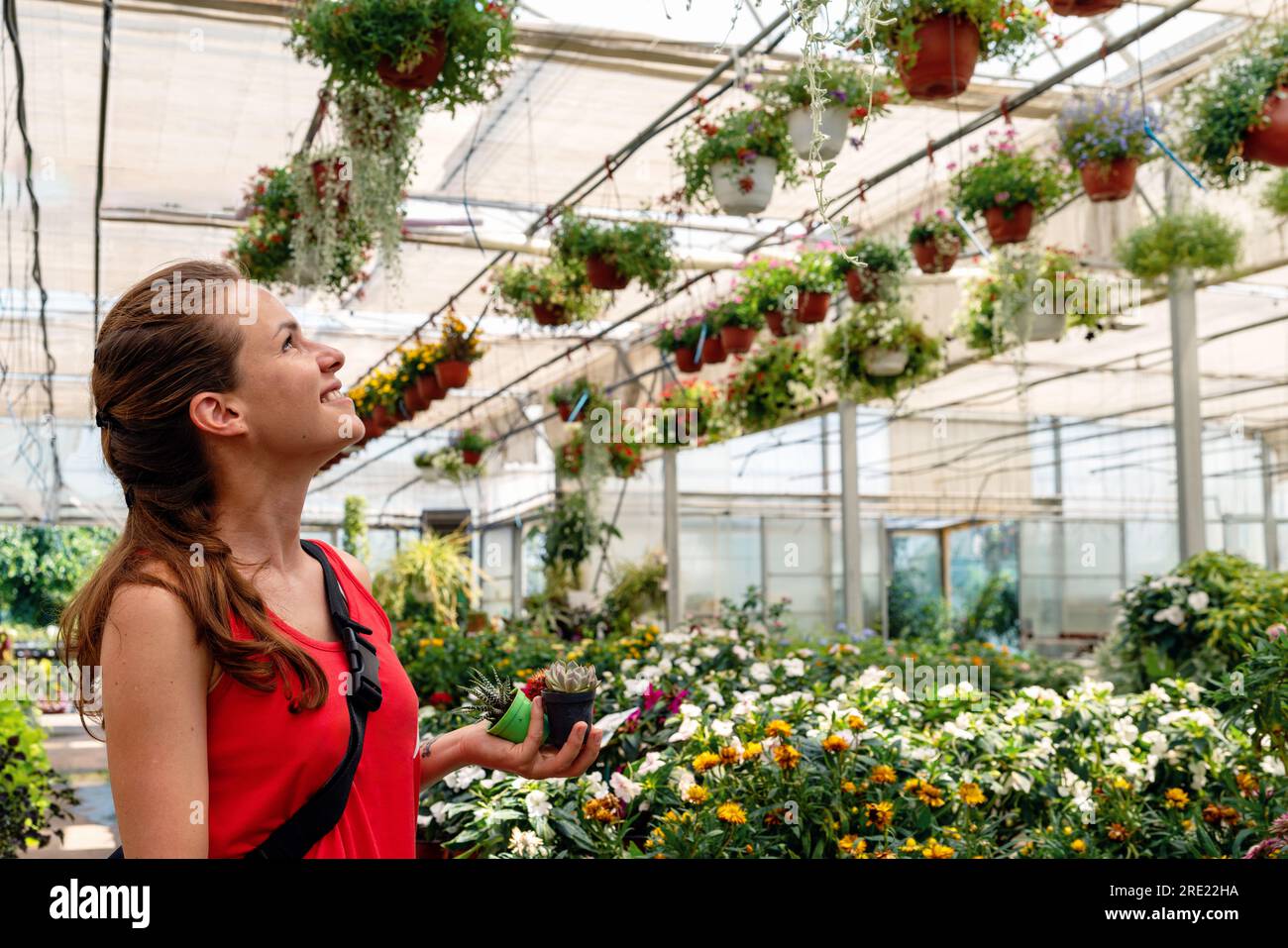 Seedling nursery hi-res stock photography and images - Alamy