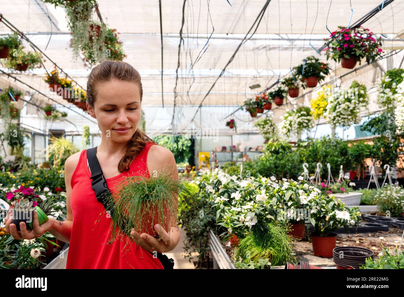 Brunette young adult woman choosing plants in commercial plant nursery ...
