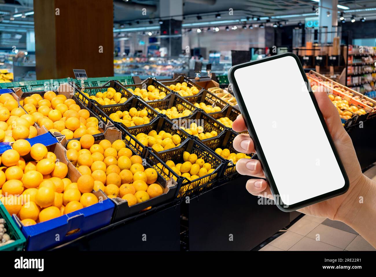 Online Shopping And Delivering Fresh Vegetables From Supermarket Using Mobile Phone And Mobile