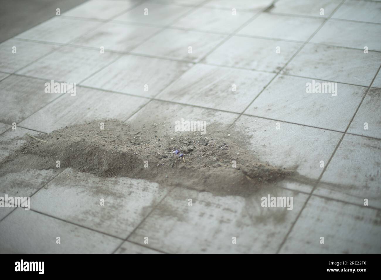 Dust on tiles. Sand cleaning. Swept away garbage. Floor cleaning Stock ...