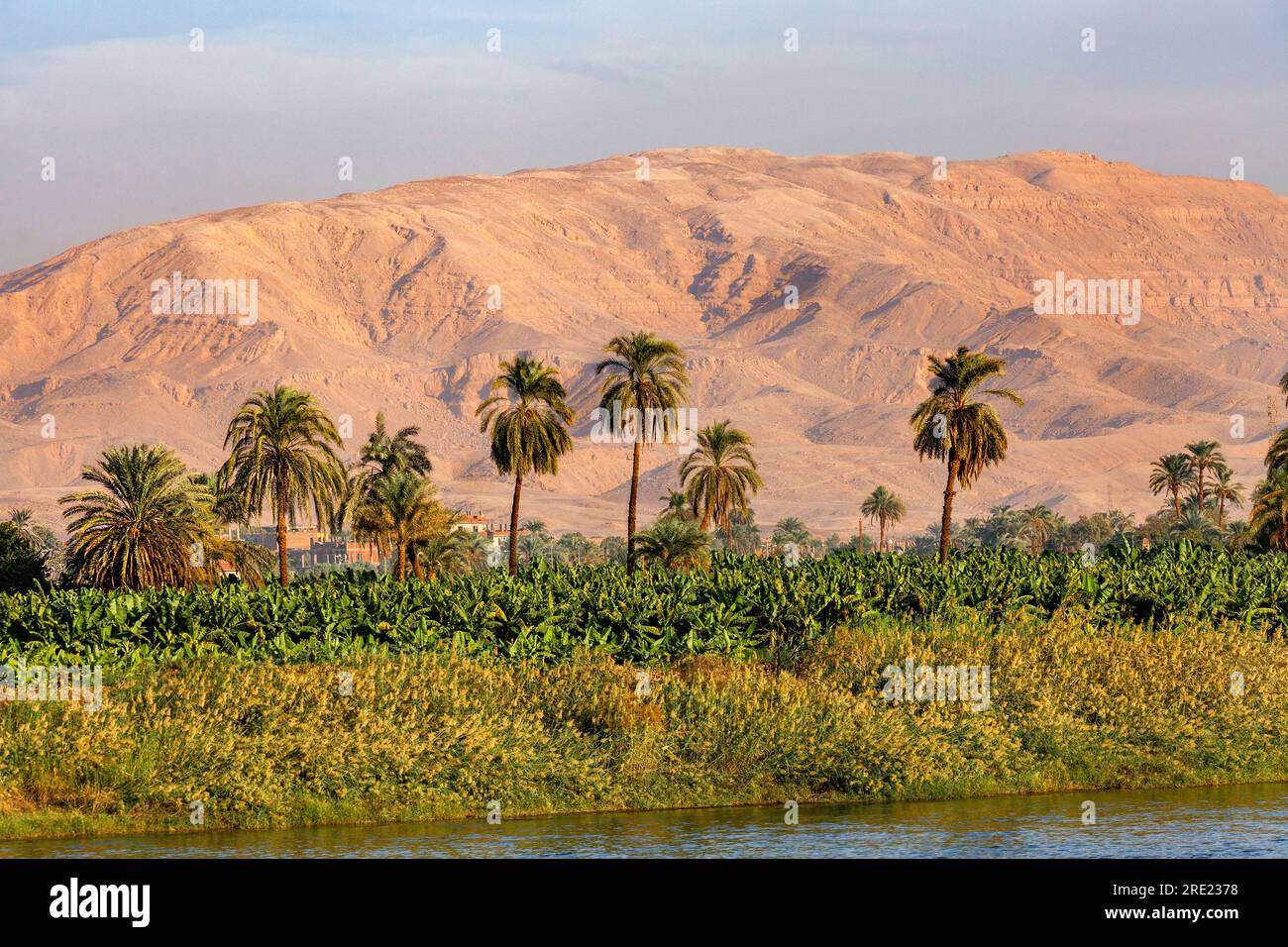 Palm trees and mountains by the Nile Stock Photo - Alamy