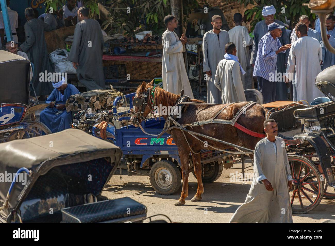 Local men at Edfu Stock Photo - Alamy