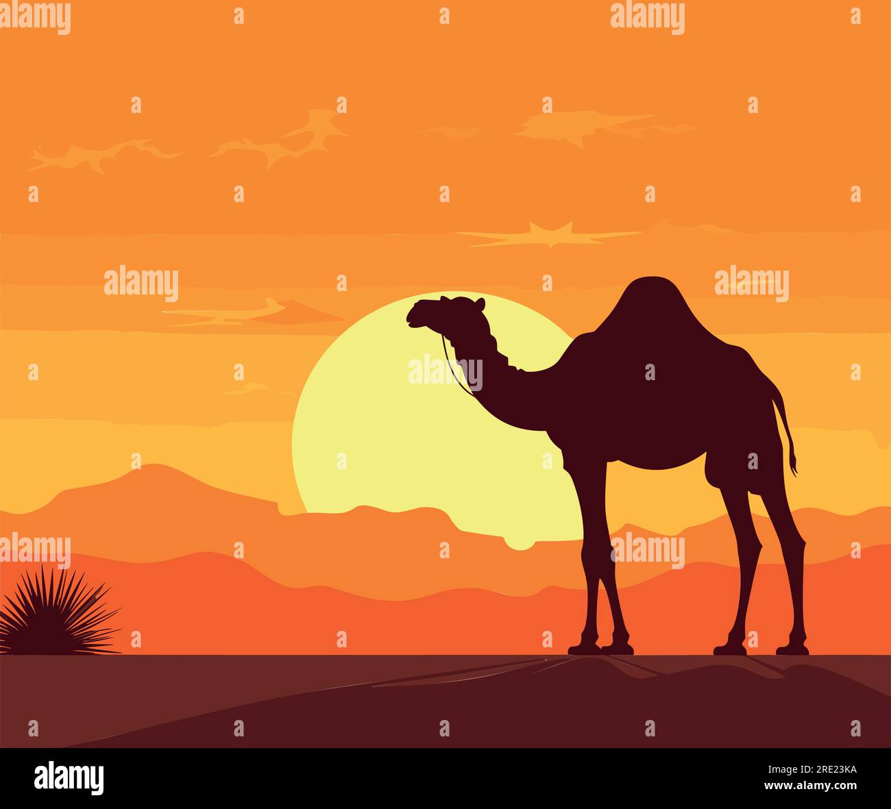 Camel and walking in sunset view vector, silhouette of a camel Caravan ...