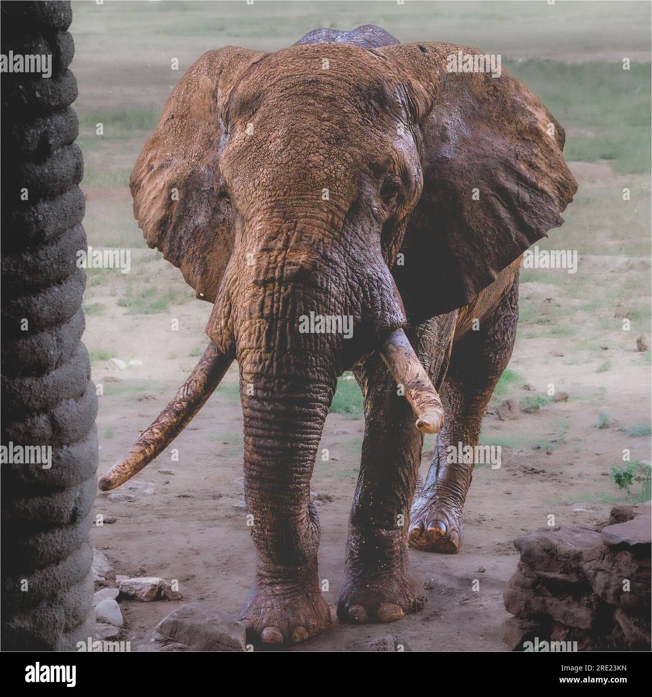 Southern encounter hi-res stock photography and images - Alamy