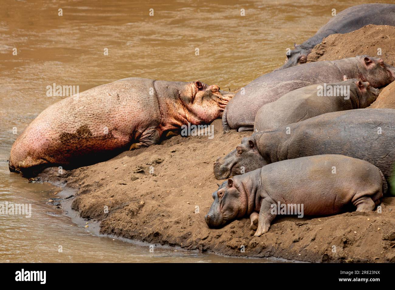 Chilling waters hi-res stock photography and images - Alamy