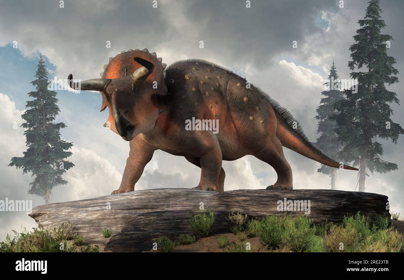 Nasutoceratops was a ceratopsian dinosaur of the late cretaceous period ...