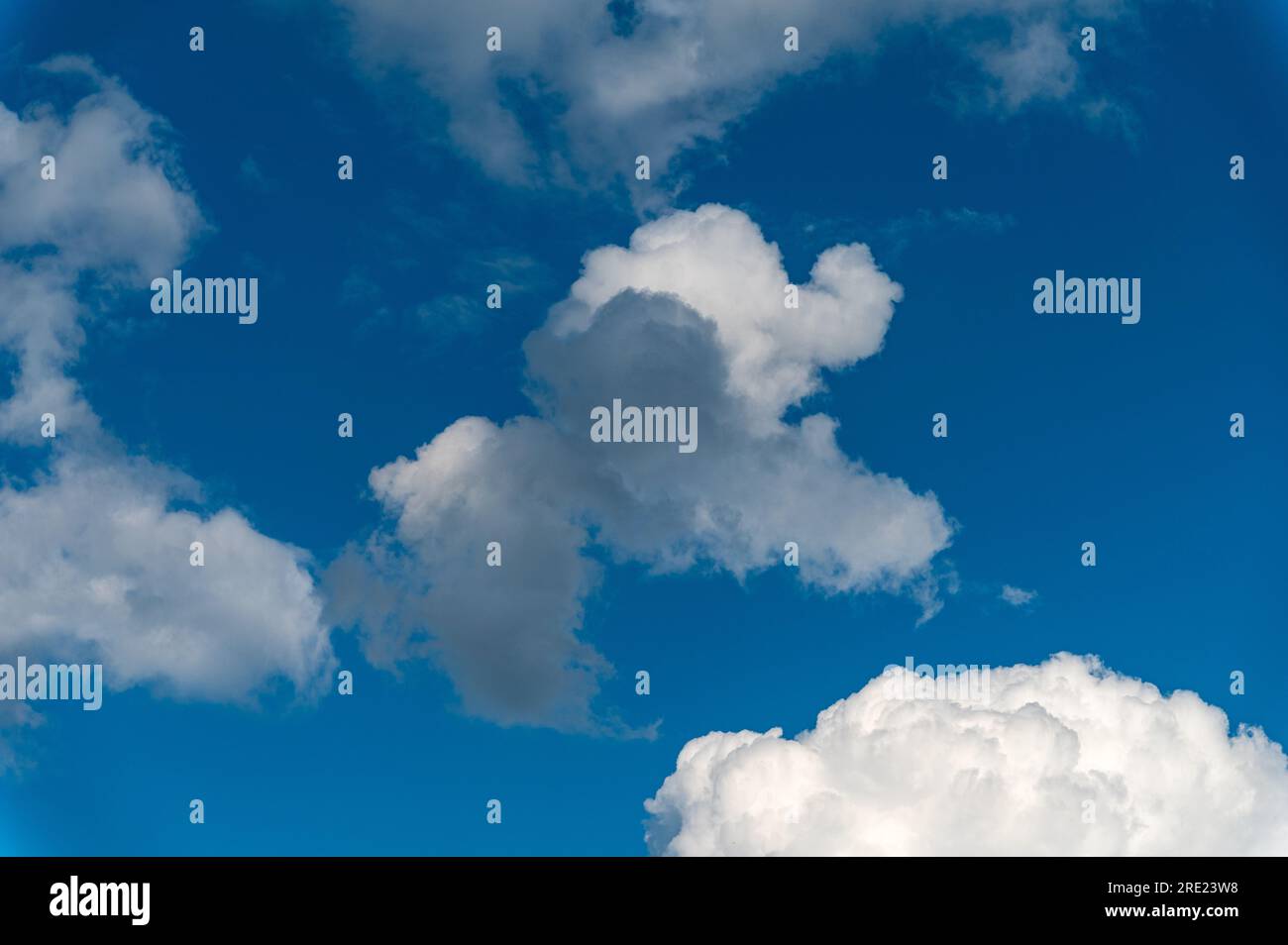 Cumulus clouds in the shape of elephant in a blue sky Stock Photo - Alamy