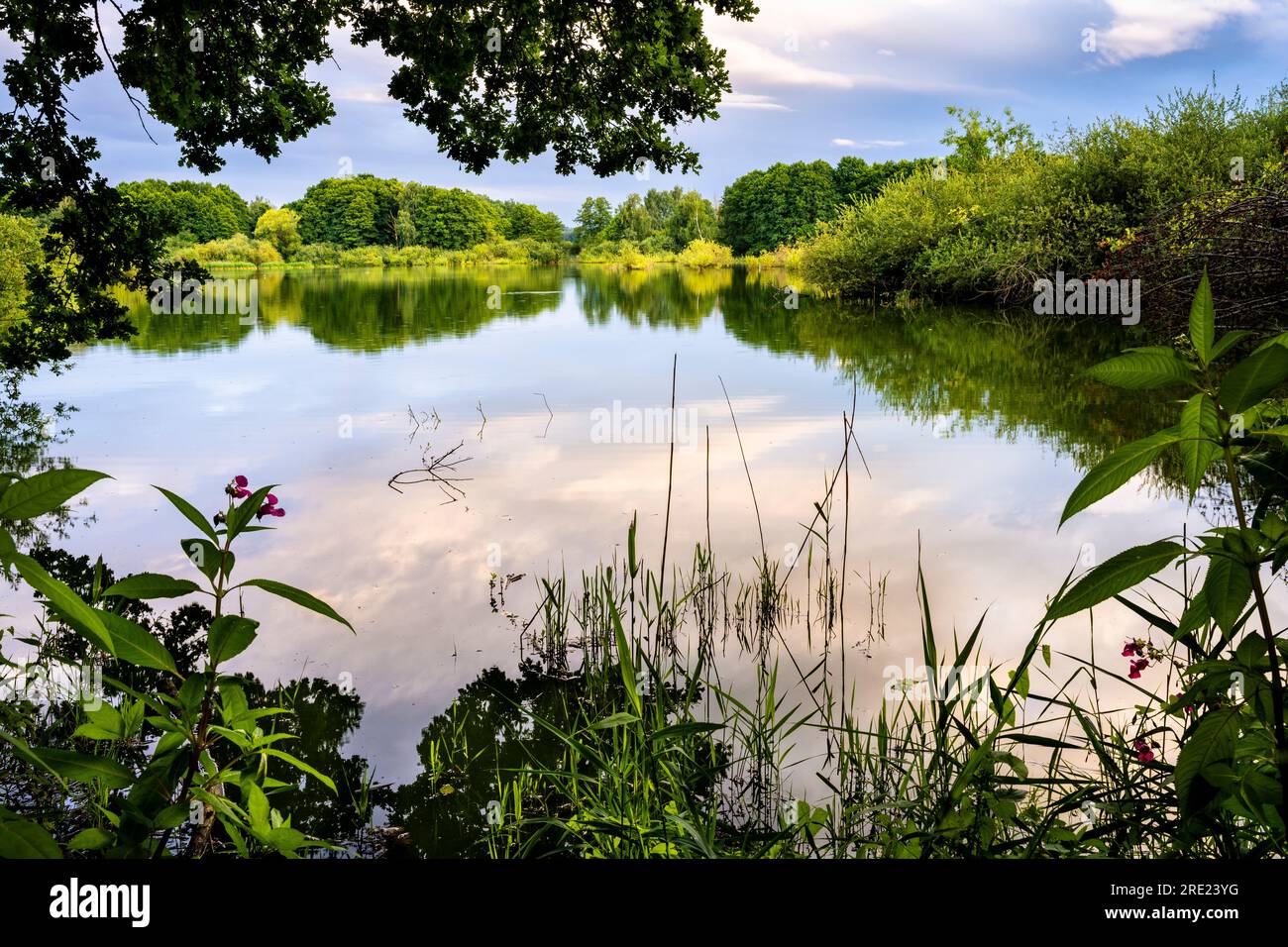 A lake (Kleiner Rötelseeweiher) in Bavaria in the nature reserve ...