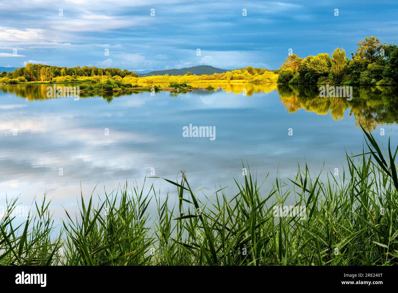 A lake (Großer Rötelseeweiher) in Bavaria in the nature reserve ...