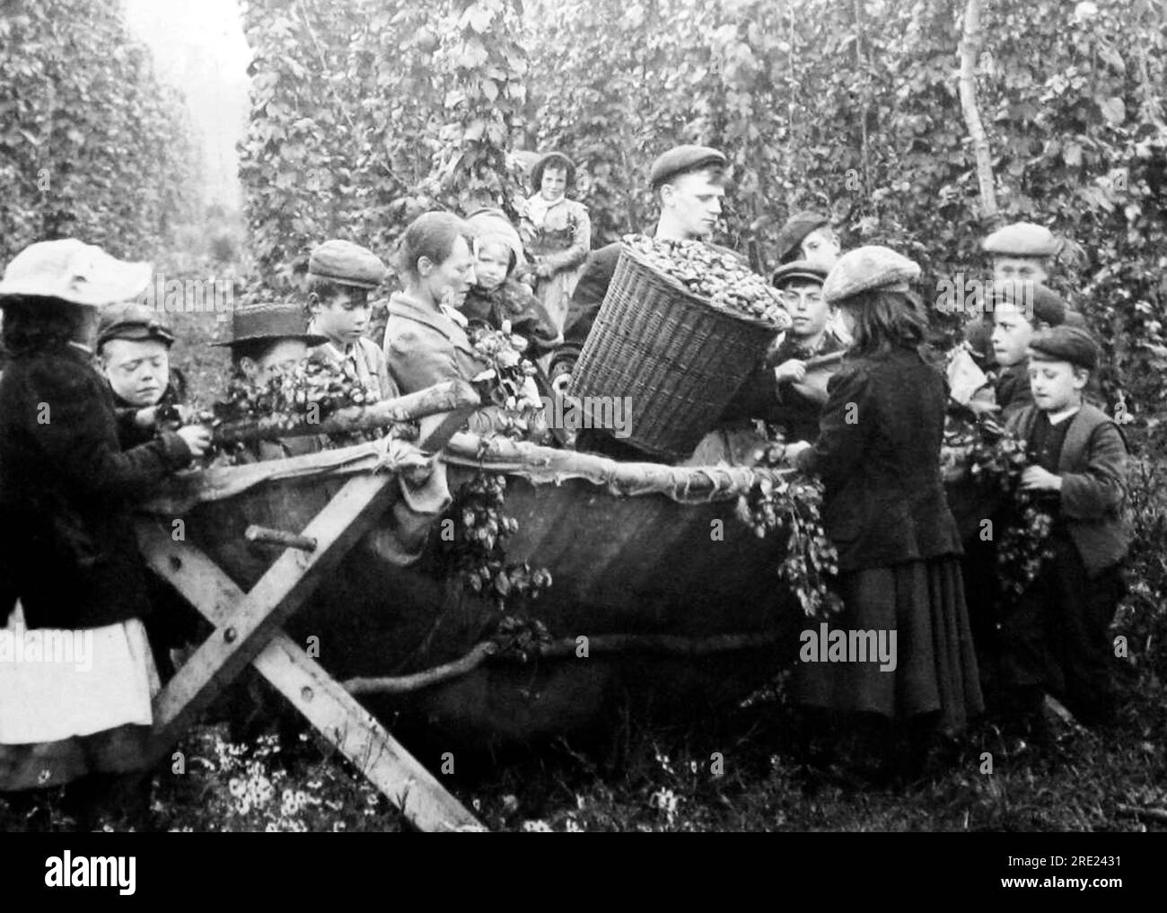 Hop pickers hi-res stock photography and images - Alamy