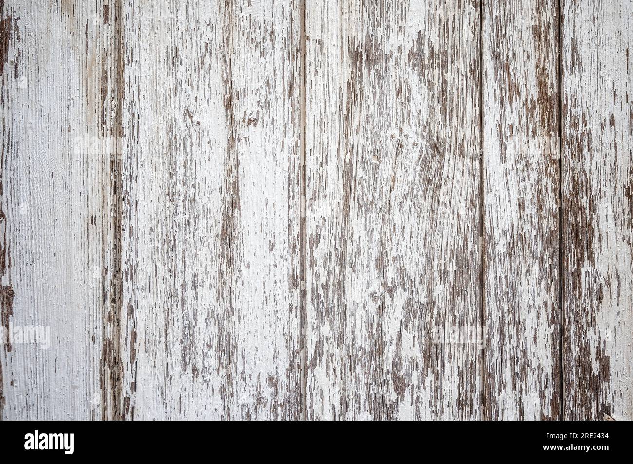 White Painted Wood Texture