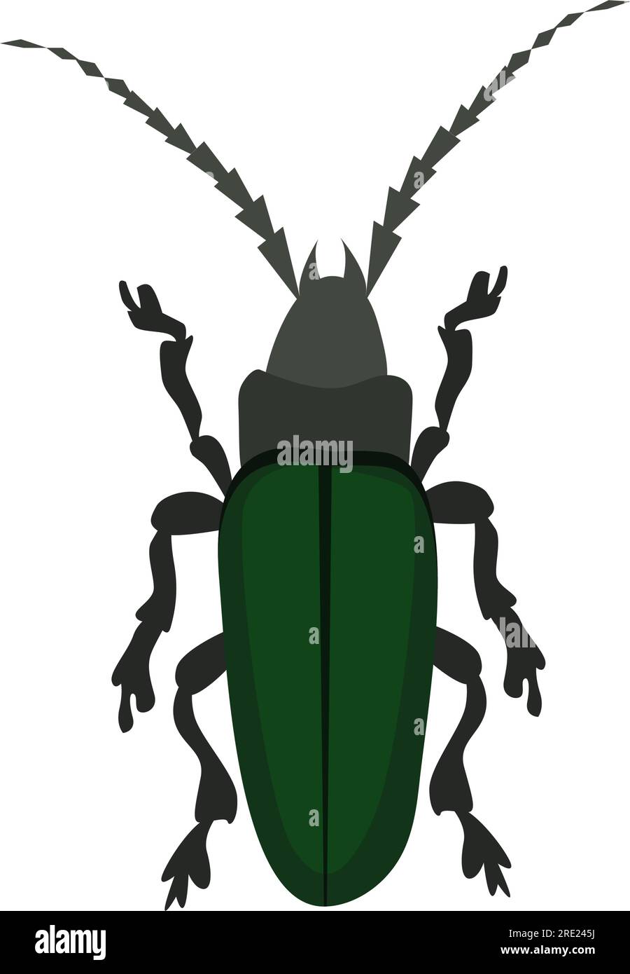 Green longhorn beetle isolated vector Stock Vector Image & Art - Alamy