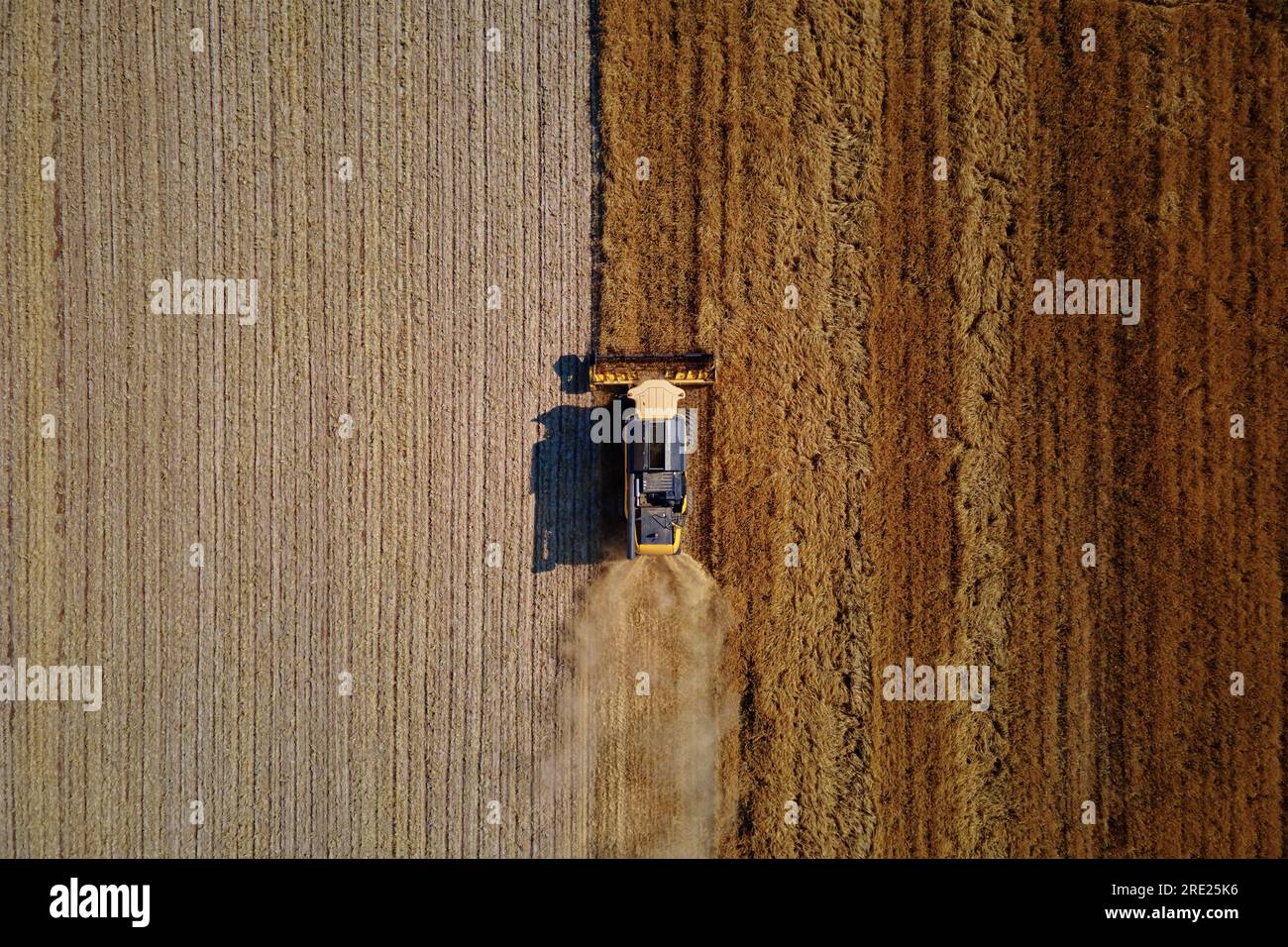 Harvesting machine working at agricultural field. Combine harvester ...