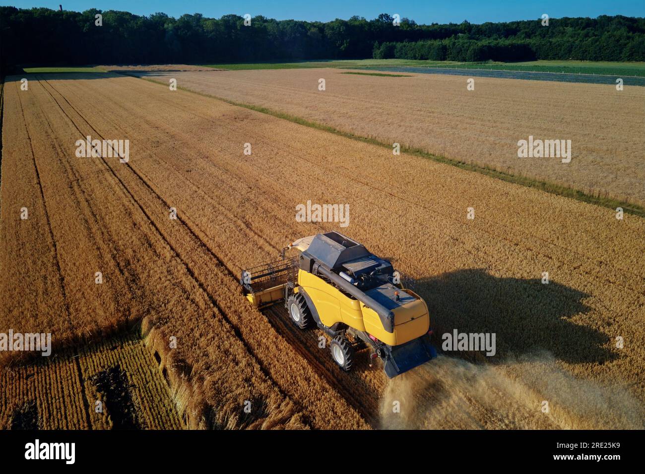 Harvesting machine working at agricultural field. Combine harvester ...