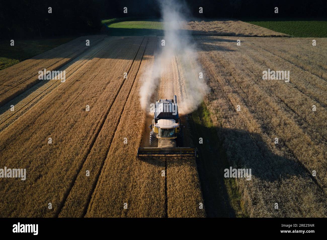 Harvesting machine working at agricultural field. Combine harvester ...