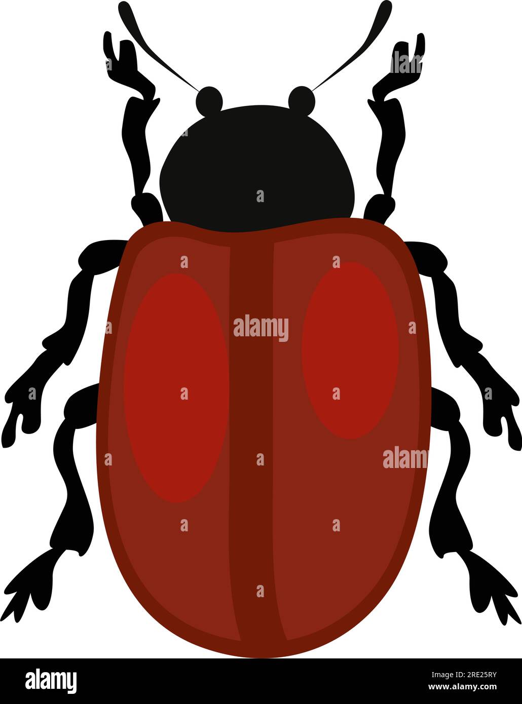 Chrysomela populi Stock Vector Images - Alamy