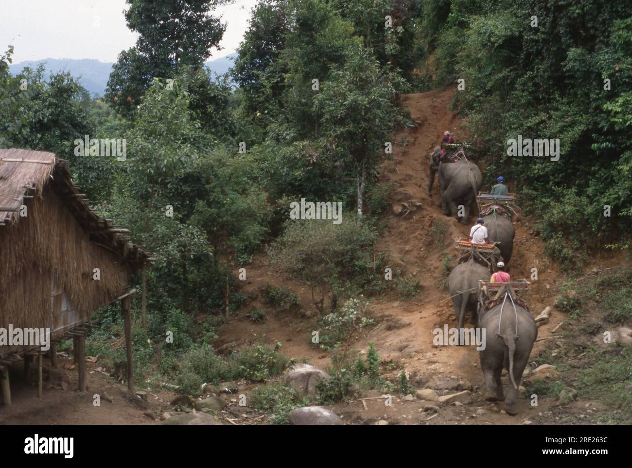 Burma 1995 hi-res stock photography and images - Alamy
