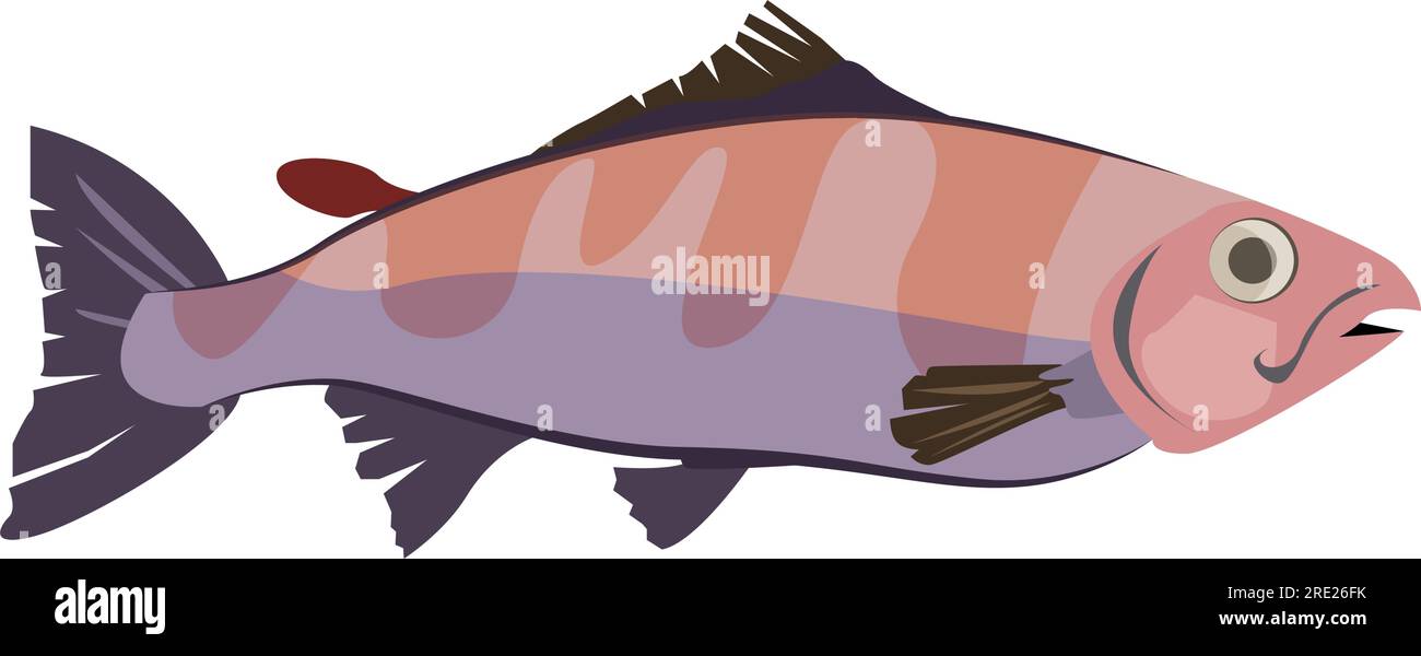 Tropical water bonefish Stock Vector Image & Art - Alamy