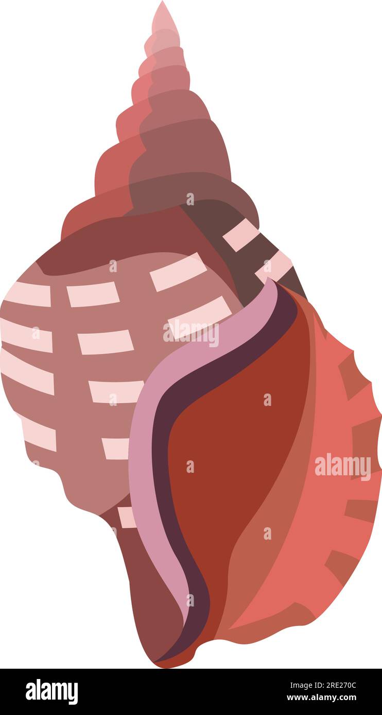 Brown sea shell illustration Stock Vector Image & Art - Alamy