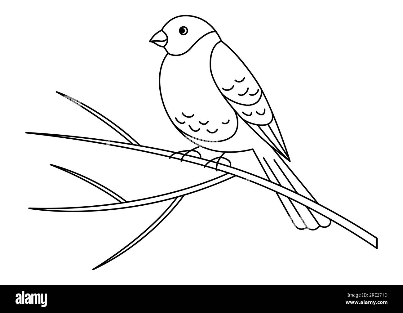 Bullfinch on little twig Stock Vector Images - Alamy