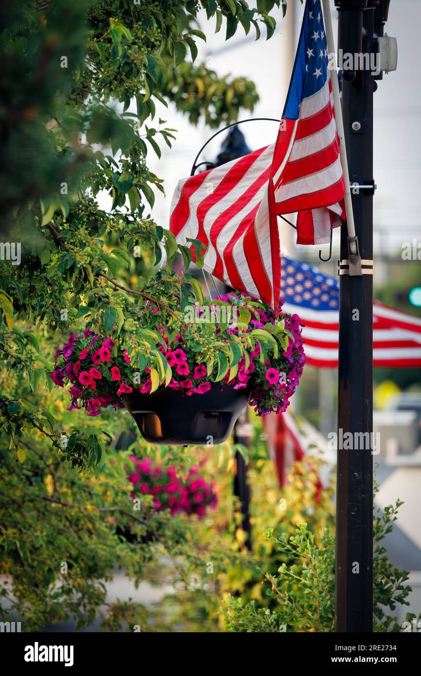 Street american flags stars and stripes hi-res stock photography and ...