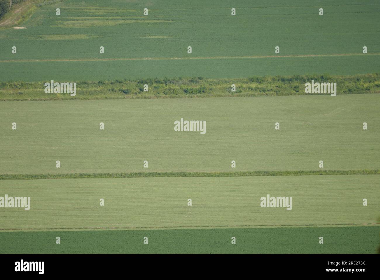 Structure nature hi-res stock photography and images - Alamy