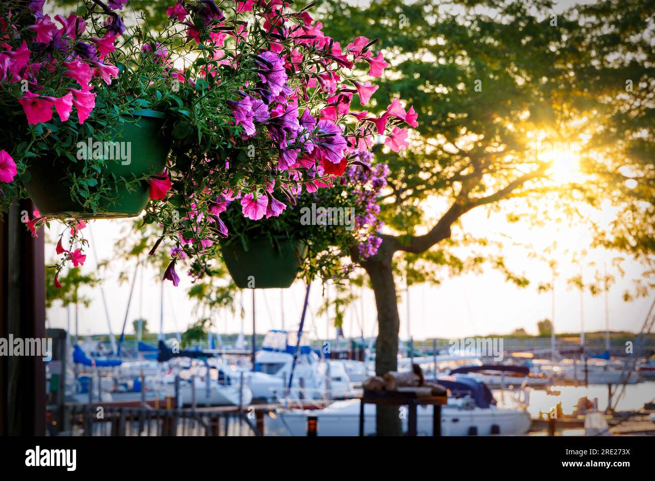 Flowers hang in planters while the morning sun rises over Lake Michigan ...