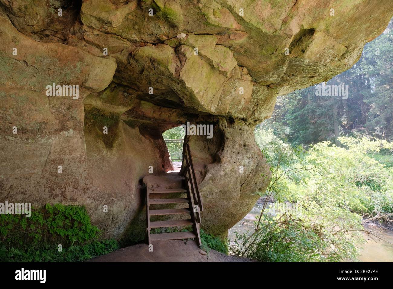 Small, rustic wooden steps leading to a naturally formed entrance of a ...