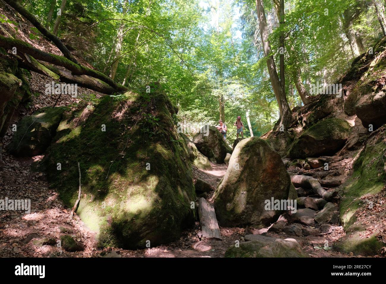 Germanys natural beauty hi-res stock photography and images - Alamy