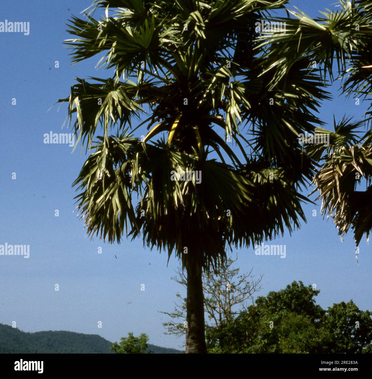 Burma 1995 hi-res stock photography and images - Alamy