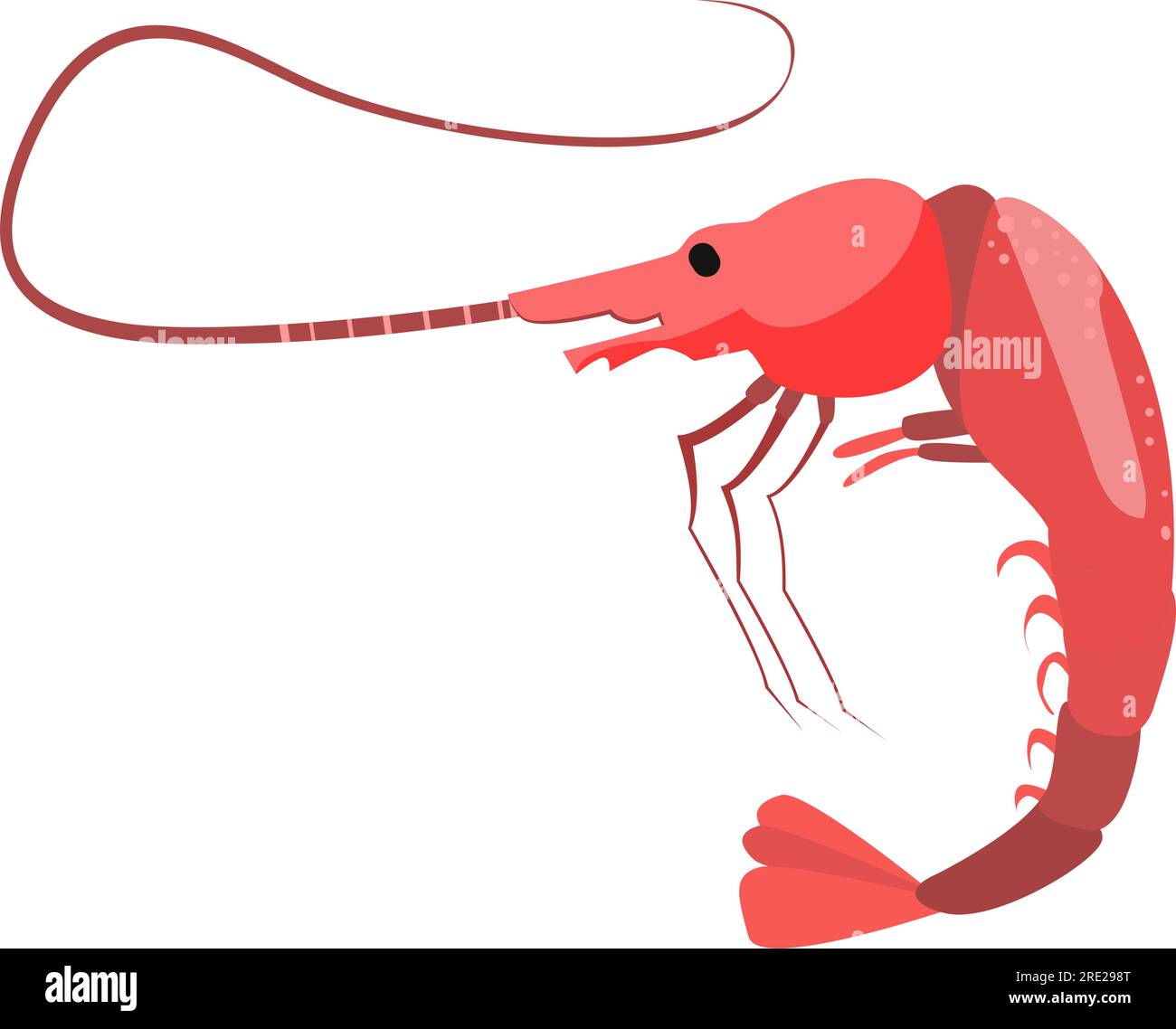Pink shrimp illustration Stock Vector Image & Art - Alamy