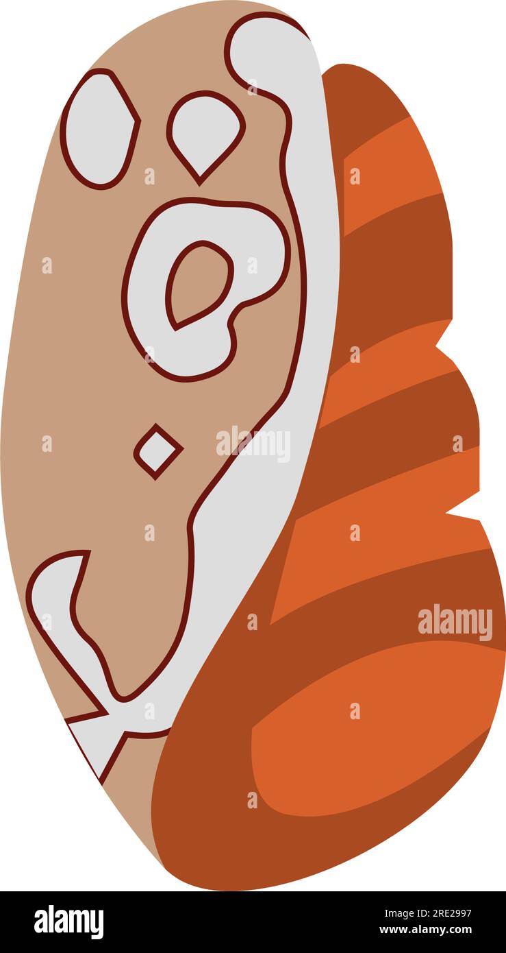 Trivia shell Stock Vector Images - Alamy