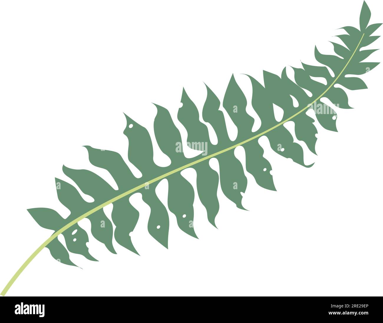 Tropical fern illustration Stock Vector Image & Art - Alamy
